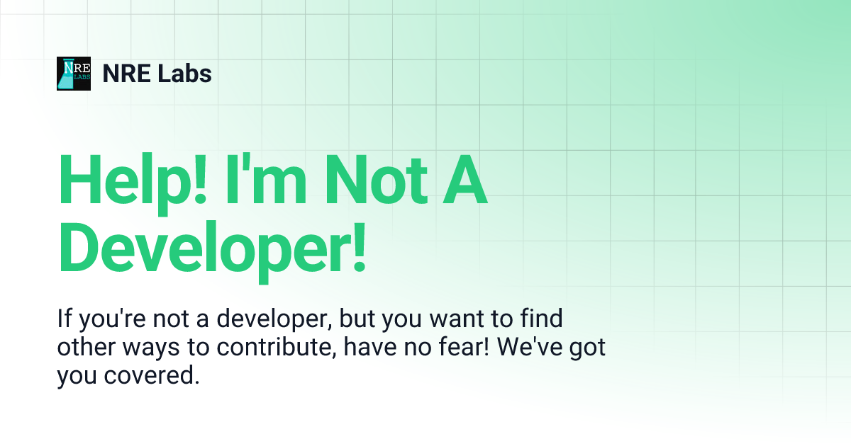 Help! I'm Not A Developer! | NRE Labs